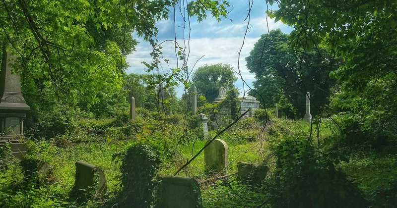Eco-friendly burial company to purchase, restore Mount Vernon Cemetery ...