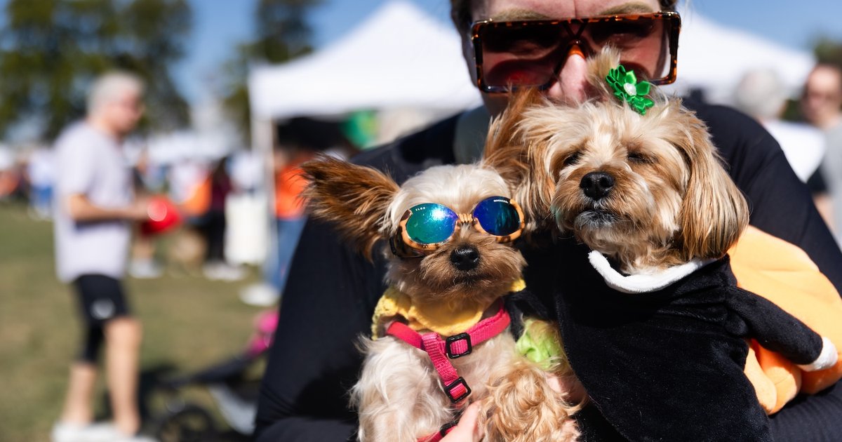 PAWS Mutt Strut returns to the Navy Yard this October | PhillyVoice