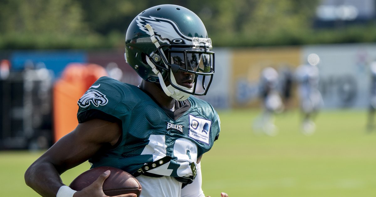 Eagles seemingly in the process of forming half of their practice squad ...