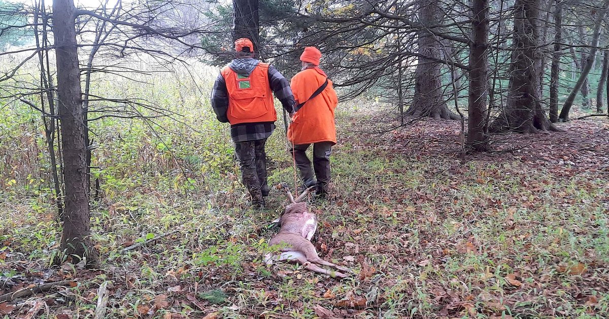 Pennsylvania repeals Sunday hunting ban, opening more days for hunters ...
