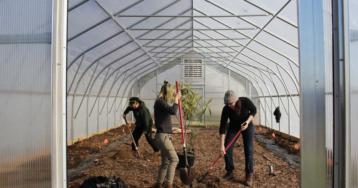 Philadelphia Orchard Project aims to help urban farms adapt to climate ...