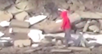 N.J. teen accused of pigeon abuse at Pennsylvania gun club | PhillyVoice