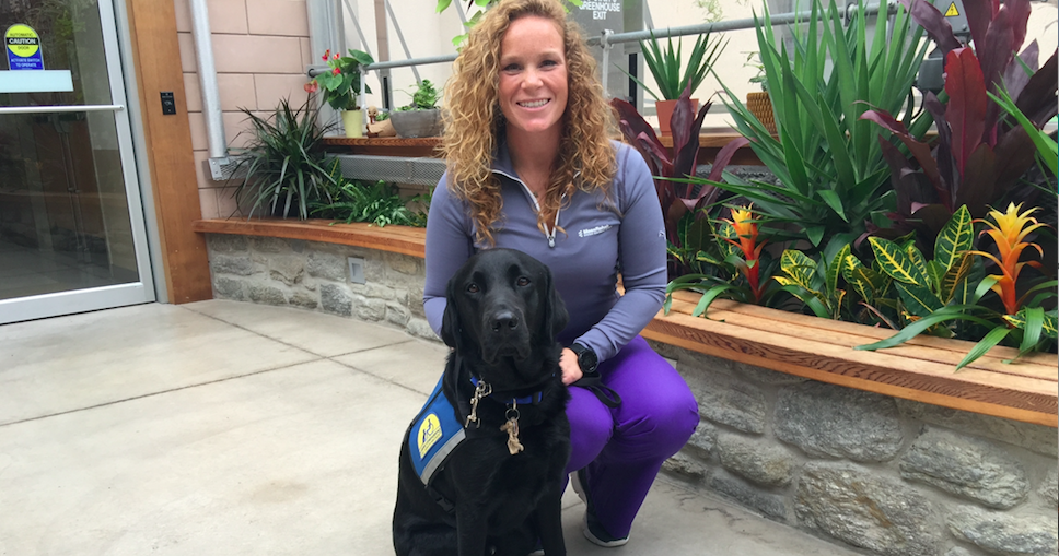 Pender, a very good dog, arrives in area to help brain-injury patients ...