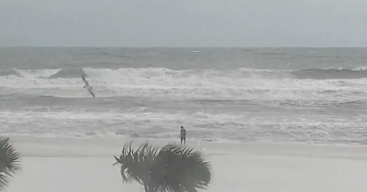 Live cams capture Hurricane Michael as Category 4 storm hit Florida ...