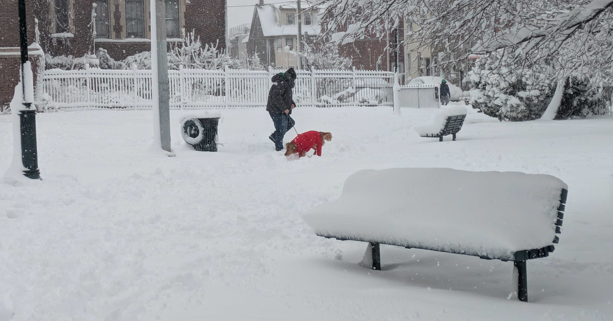 Snowstorm brings 14 inches of snow to Philly; Officials stress patience ...