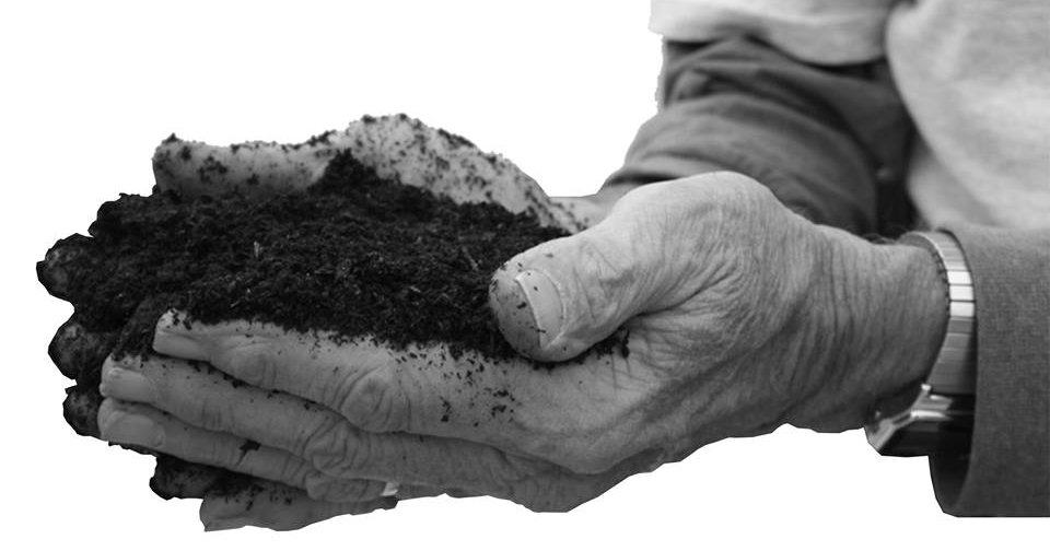 Human composting could be more environmentally-friendly body disposal ...