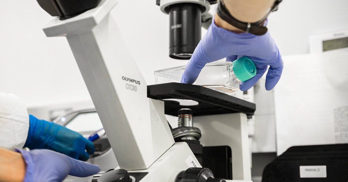 Winner of adult science fair gets one year supply of PBR | PhillyVoice