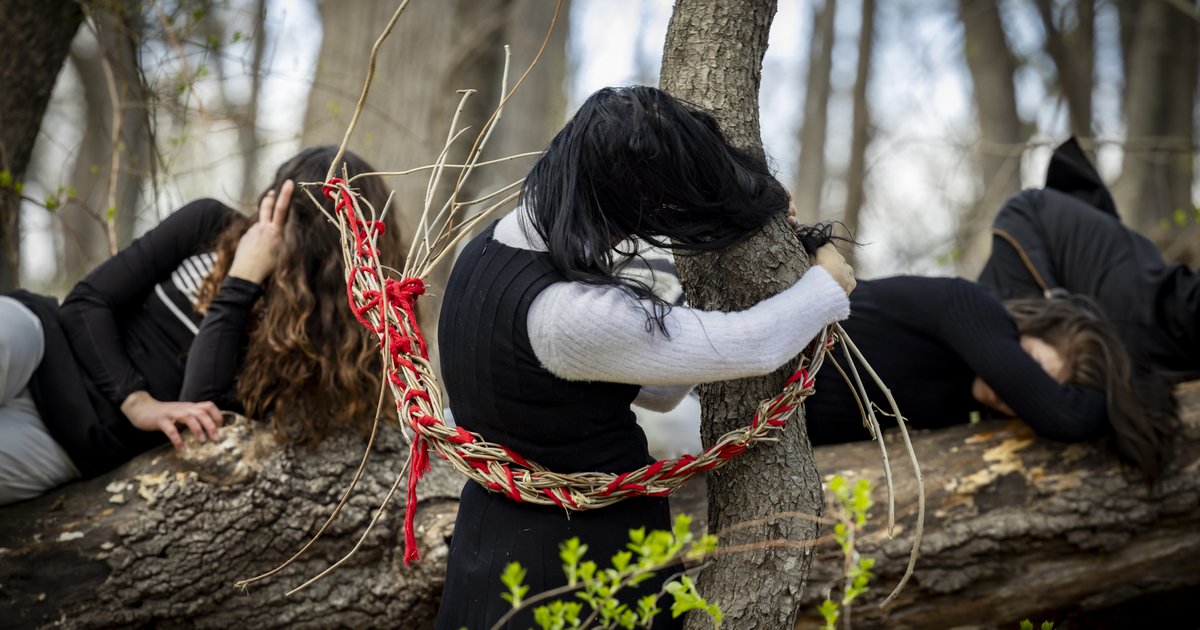 Dance merges with nature in immersive world premiere set in a ...