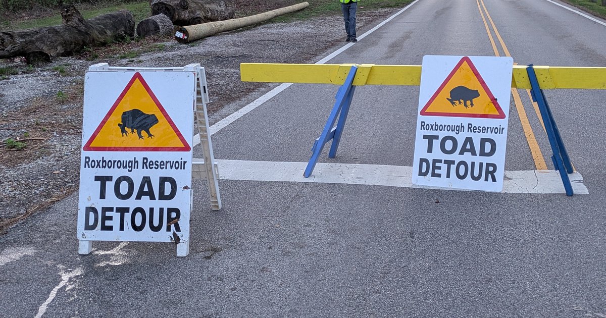 Volunteers help frogs and toads safely get to mating grounds in ...