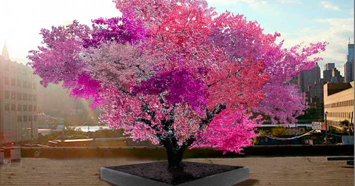 Artist from Pa. creates tree that can bear 40 different fruits ...