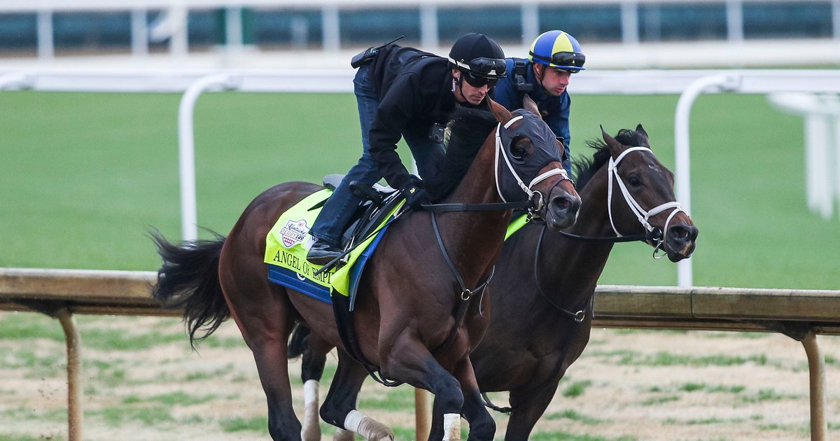Eytan Shander: A betting guide to the 2023 Kentucky Derby | PhillyVoice