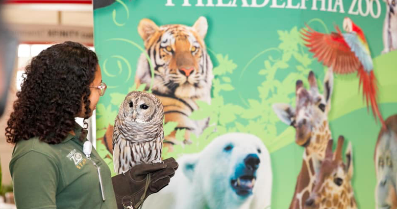 Philly airport partners with Philadelphia Zoo for monthly animal series ...