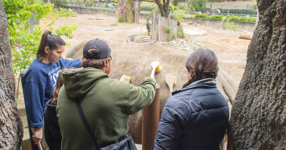 Philadelphia Zoo is offering behind-the-scenes tours in January ...
