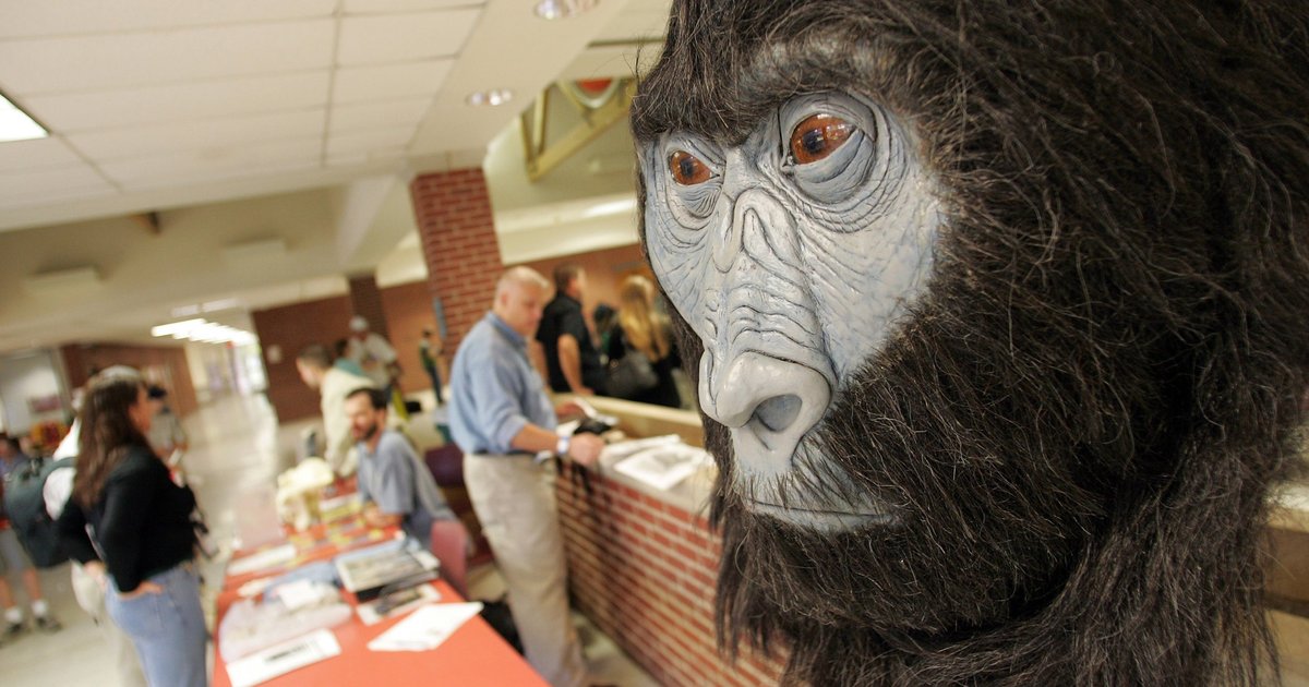 A possible Bigfoot sighting reported in South Jersey | PhillyVoice