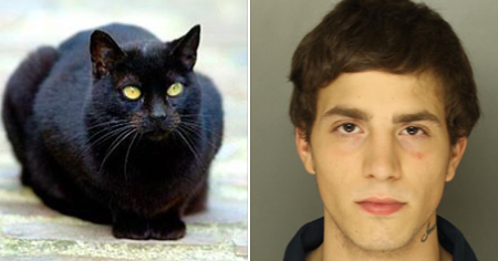 Black cat leads police to wanted man | PhillyVoice