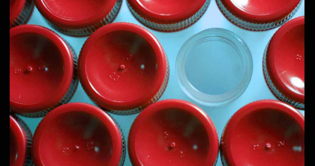Everything you need to know about donating blood for the first time ...