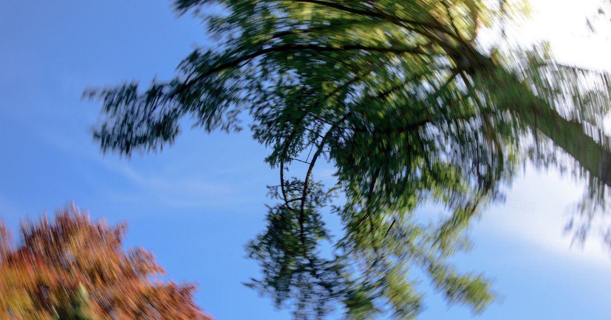 What to know about vertigo | PhillyVoice