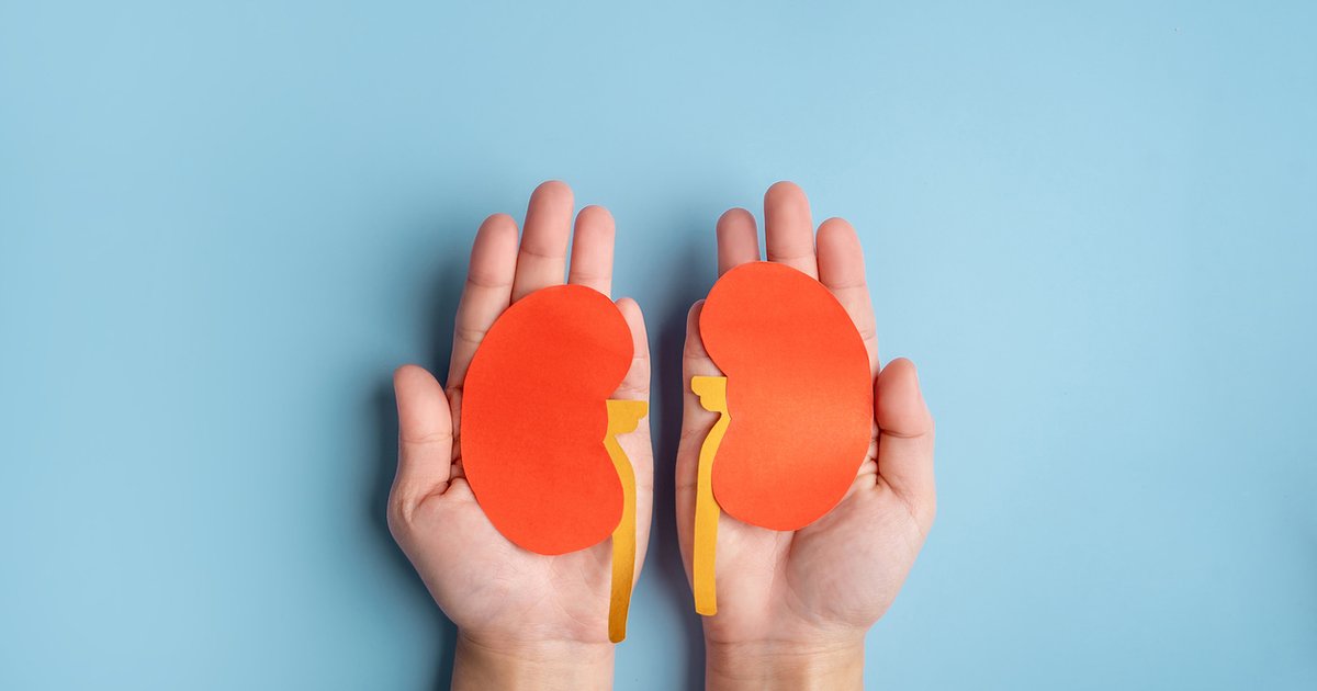Understanding the importance of kidney health | PhillyVoice