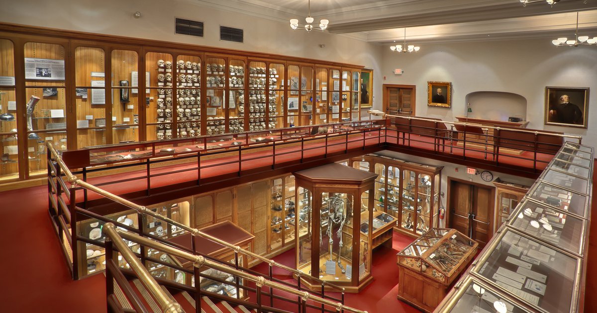 Mütter Museum to give back skull of Australian soldier shot in WWI ...