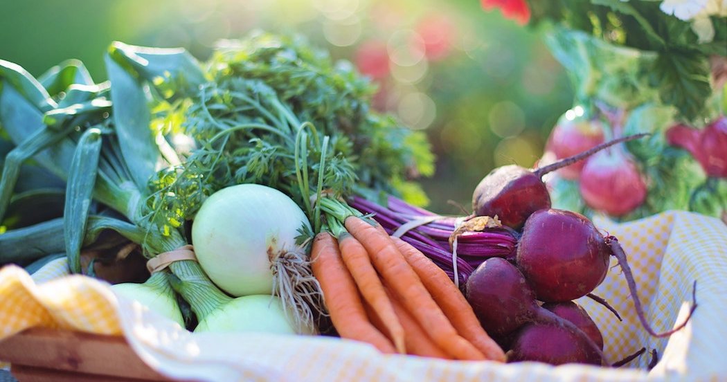 A new study finds that eating organic foods has major benefit in cancer ...