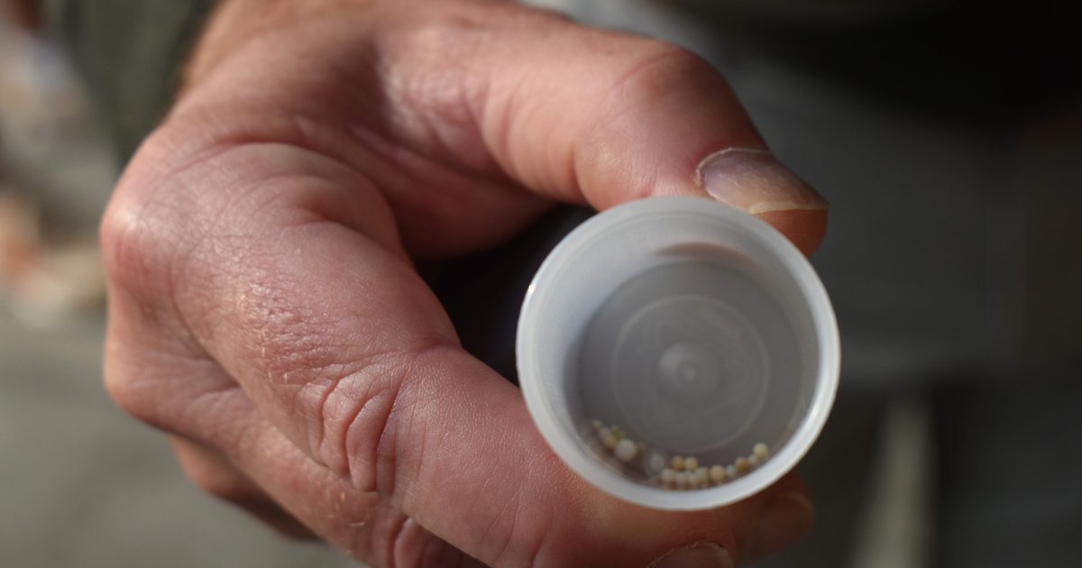 Plastic pellet pollution settlement with Styropek USA sets precedent ...