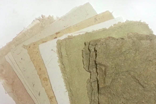 Learn To Make Paper From Plants PhillyVoice