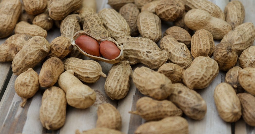 A very effective peanut allergy treatment is slated to hit the market ...