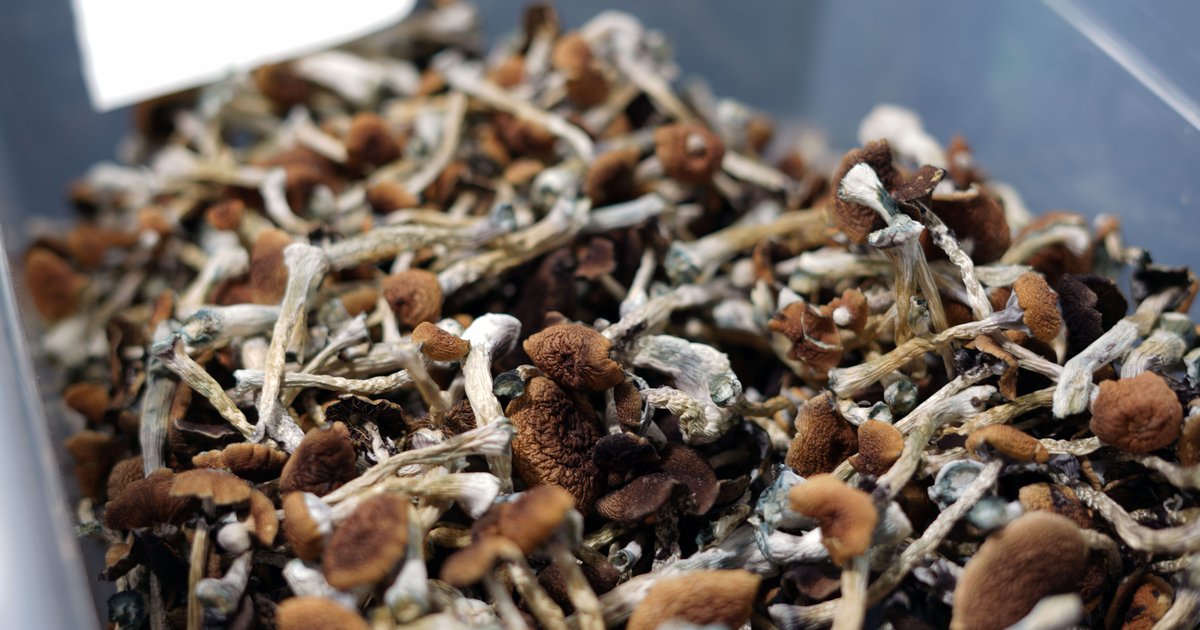 Psilocybin therapy for people with anorexia shows promise, researchers say | PhillyVoice